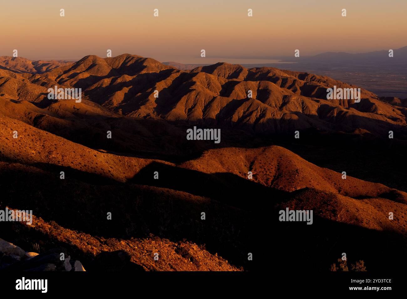 Panoramic view dry tree hi-res stock photography and images - Alamy