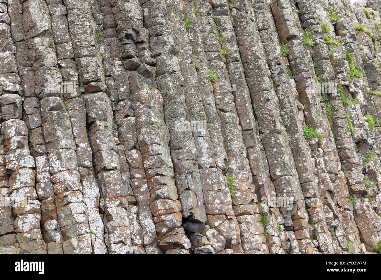 A detailed view of the steep basalt pillars at Giant Causeway, showing ...