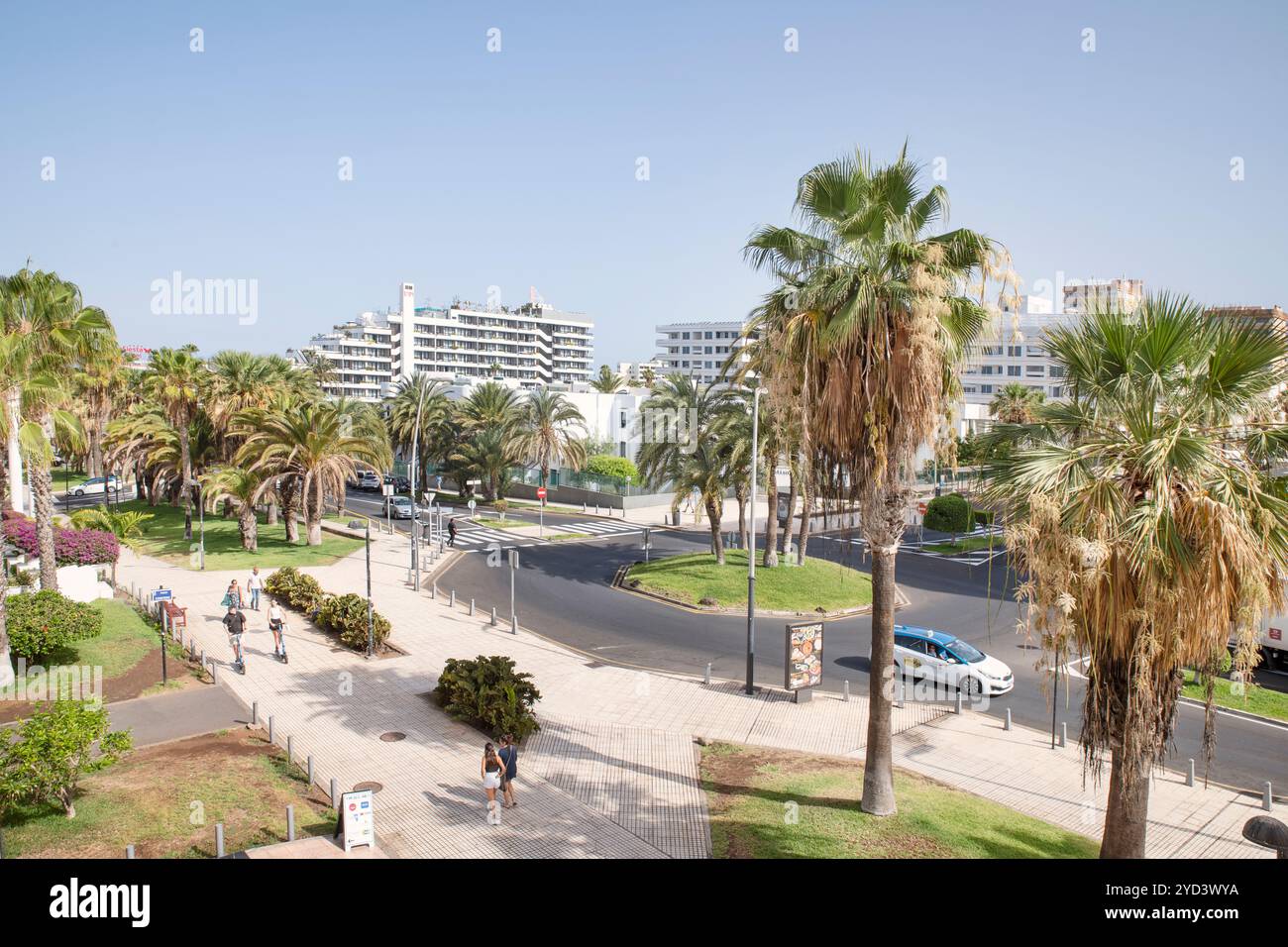 Lively area with palm trees, neatly landscaped pathways and modern ...