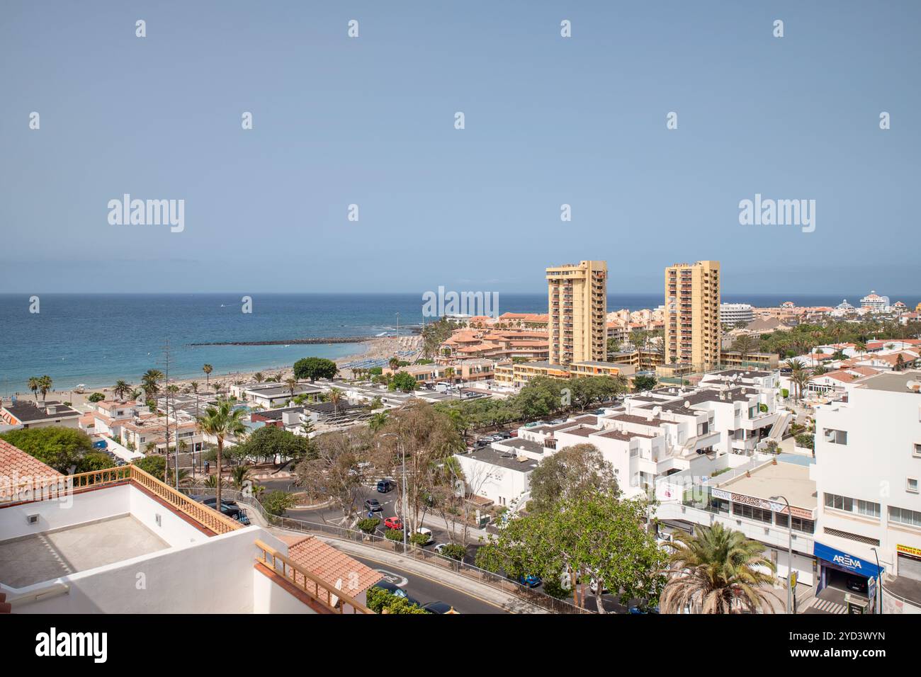 Lively area with palm trees, neatly landscaped pathways and modern ...