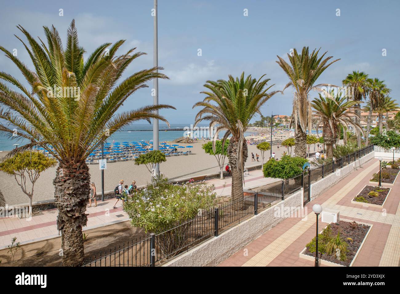 Vibrant promenade in front of Las Vistas Beach lined with tall palm ...