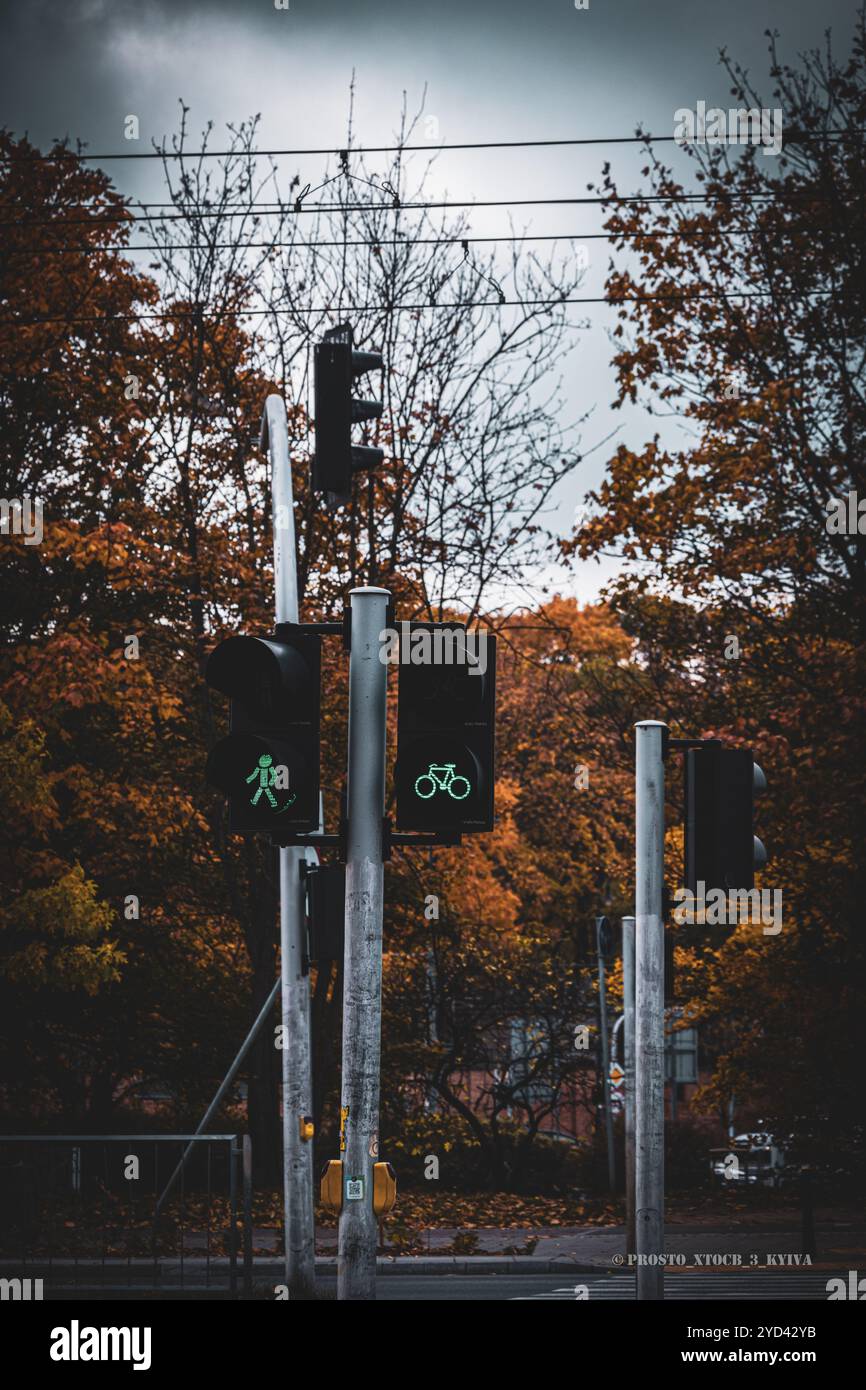 autumn in Warsaw Stock Photo - Alamy