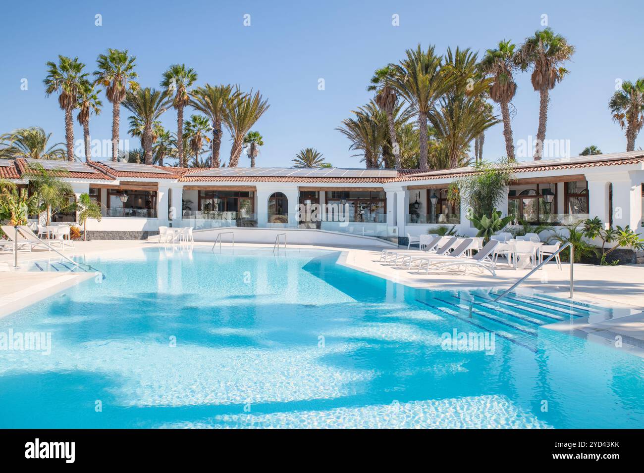 The Club resort, luxurious poolside area with sun loungers on each side ...