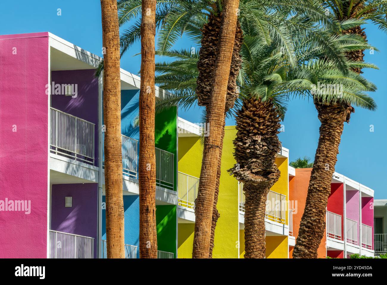 Saguaro hotel, palm trees and colorful architecture in Palm Springs ...