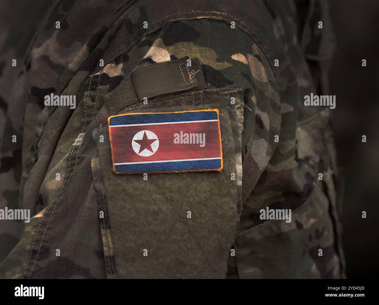 Flag of south korea and russia hi-res stock photography and images - Alamy