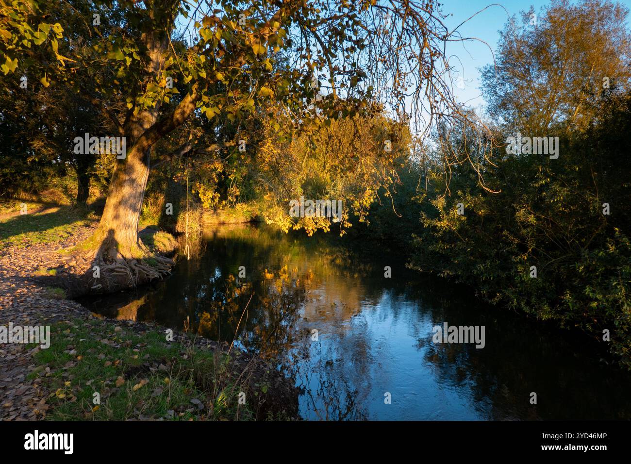 Marston Marshes, Yare Valley, River Yare Stock Photo - Alamy