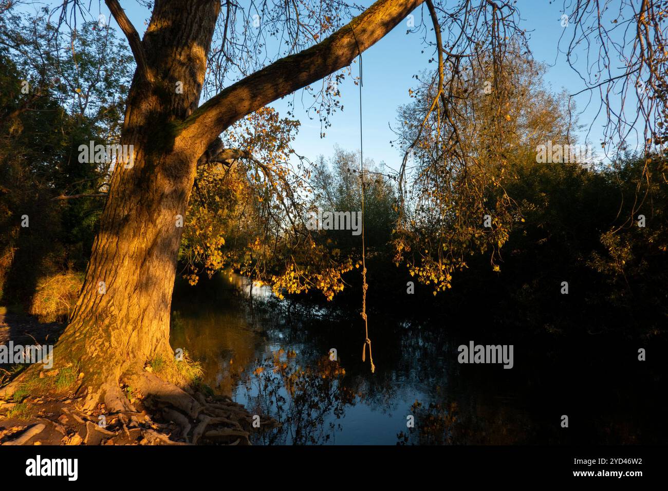 Marston Marshes, Yare Valley, River Yare Stock Photo - Alamy
