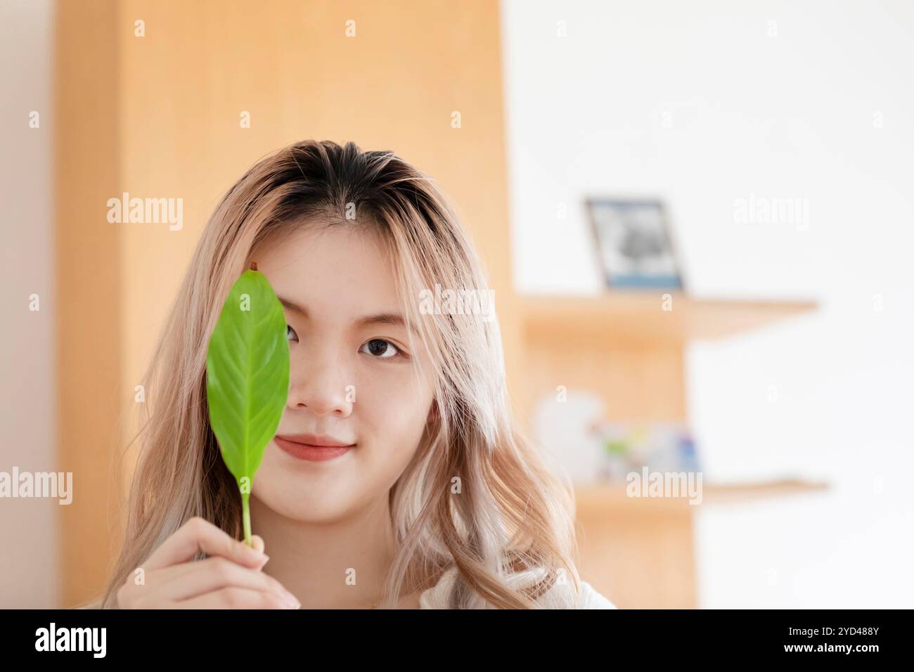 Asian office green hi-res stock photography and images - Alamy