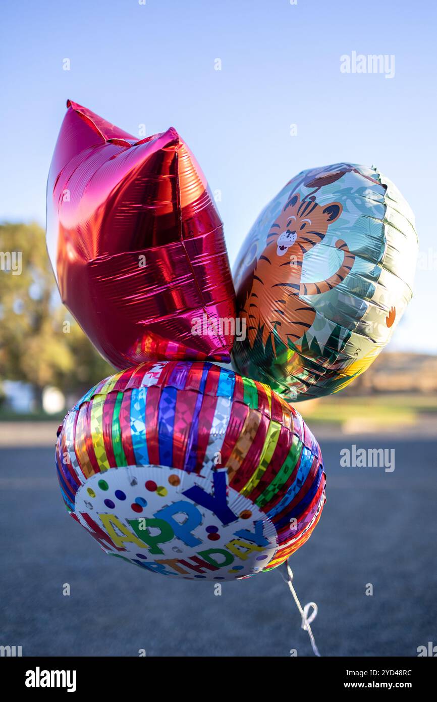 Colorful helium balloons, including Happy Birthday and tiger designs ...
