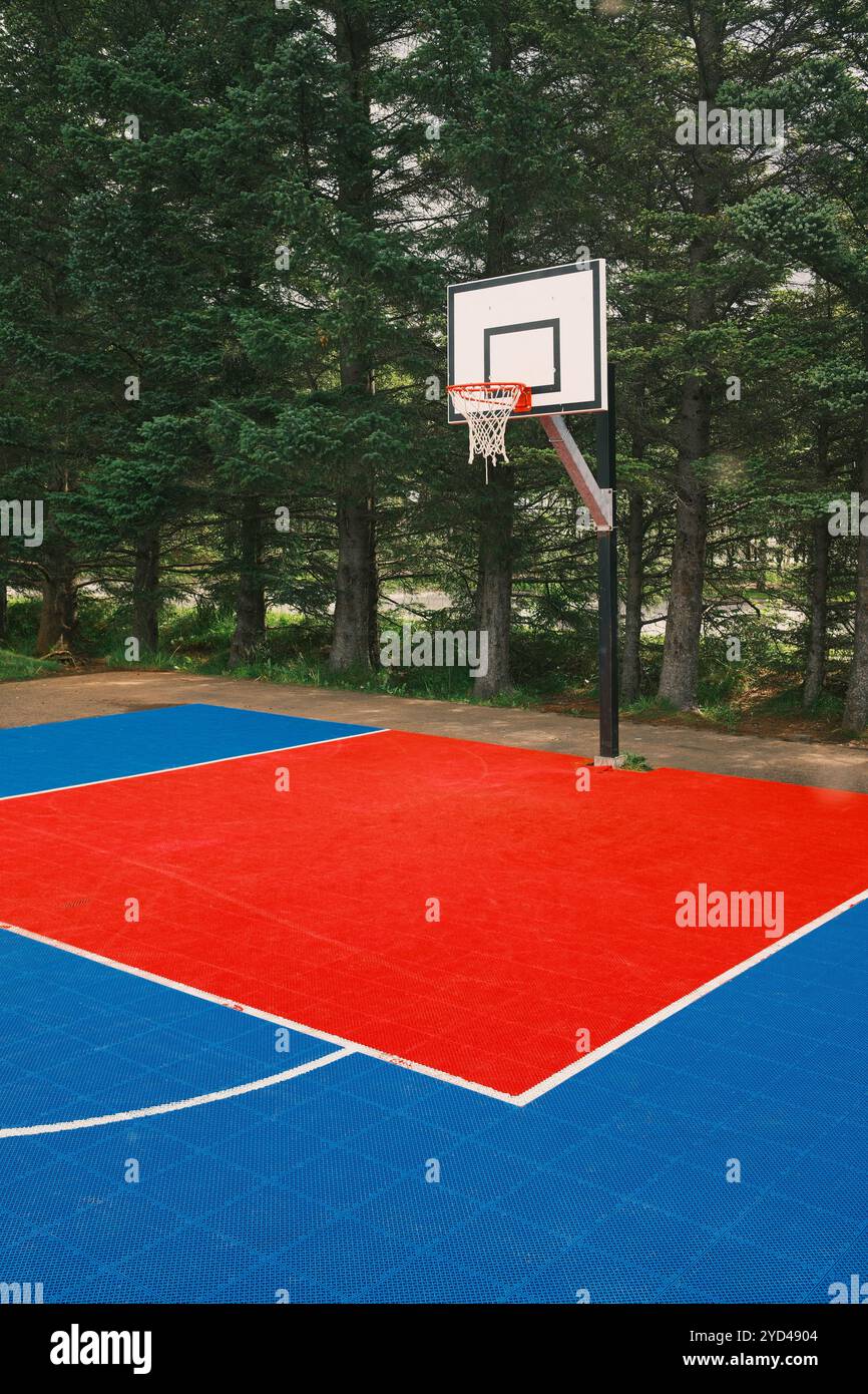Basketball court with hoop and colorful floor near trees Stock Photo ...