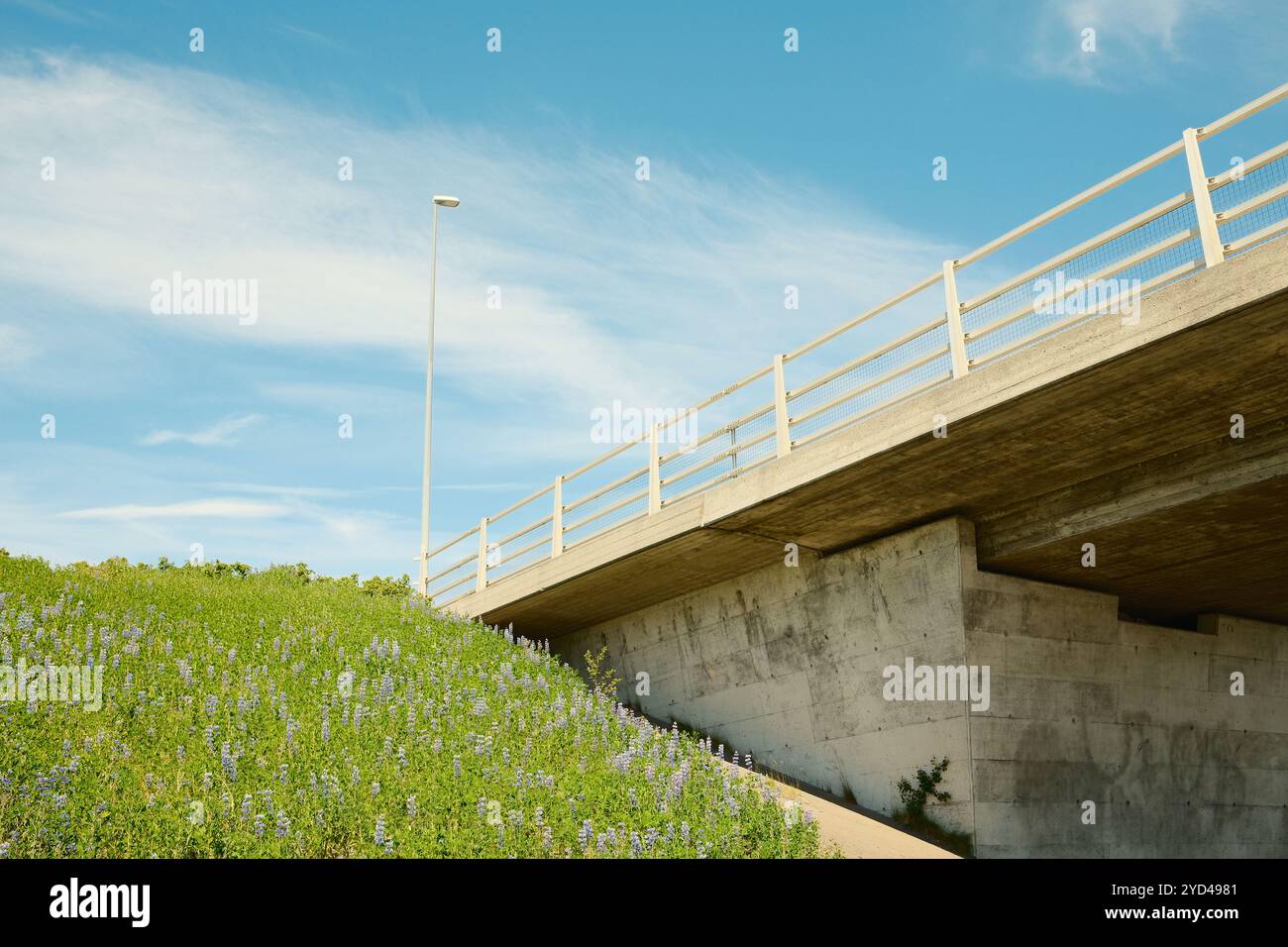 Underpass concrete bridge with fencing on top Stock Photo - Alamy