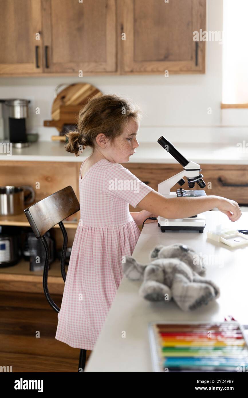 Girl using microscope at kitchen counter with stuffed animal Stock ...