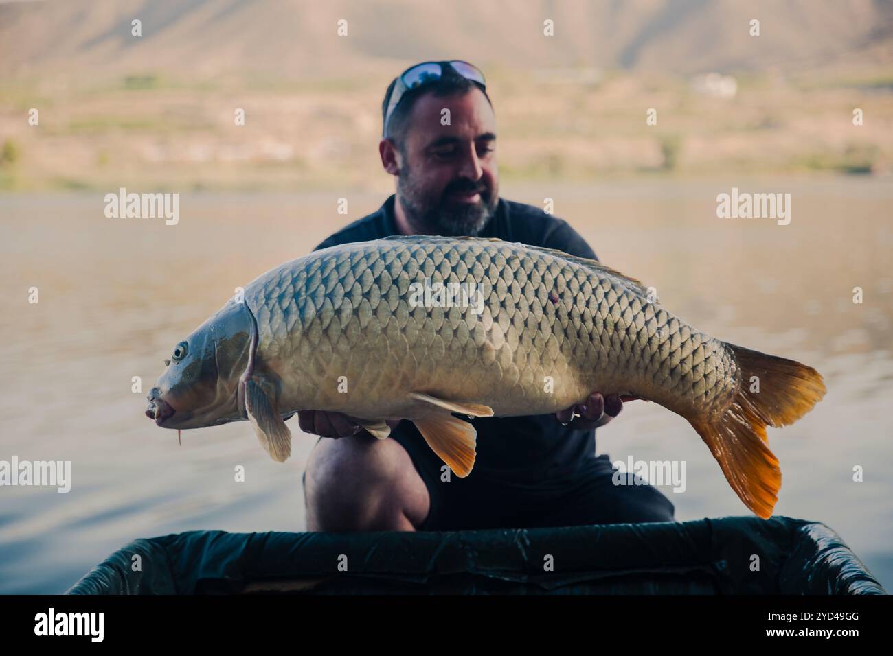 Fisherman showing the carp he just caught in a swamp Stock Photo - Alamy