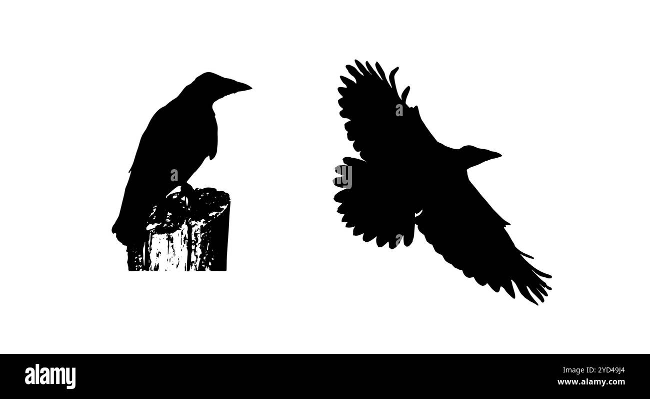 sketch tribal crow tattoo. vector drawing of a crow sitting and ...