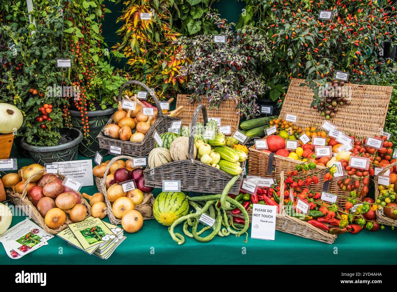 A winning display of fruit and vegetables at the Malvern Autumn Show ...