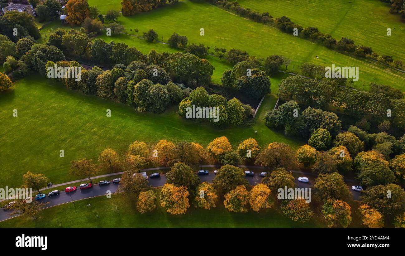 Aerial View of Autumn Trees and Winding Road Stock Photo - Alamy