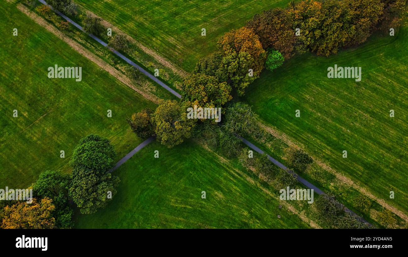 Aerial View of Green Landscape with Winding Path Stock Photo - Alamy