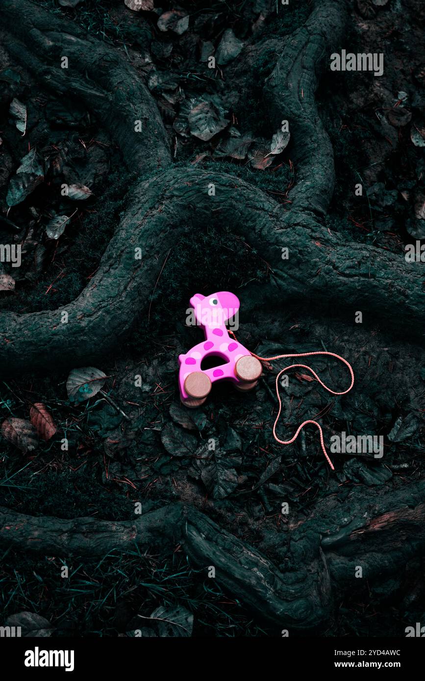 Woodland floor still life hi-res stock photography and images - Alamy