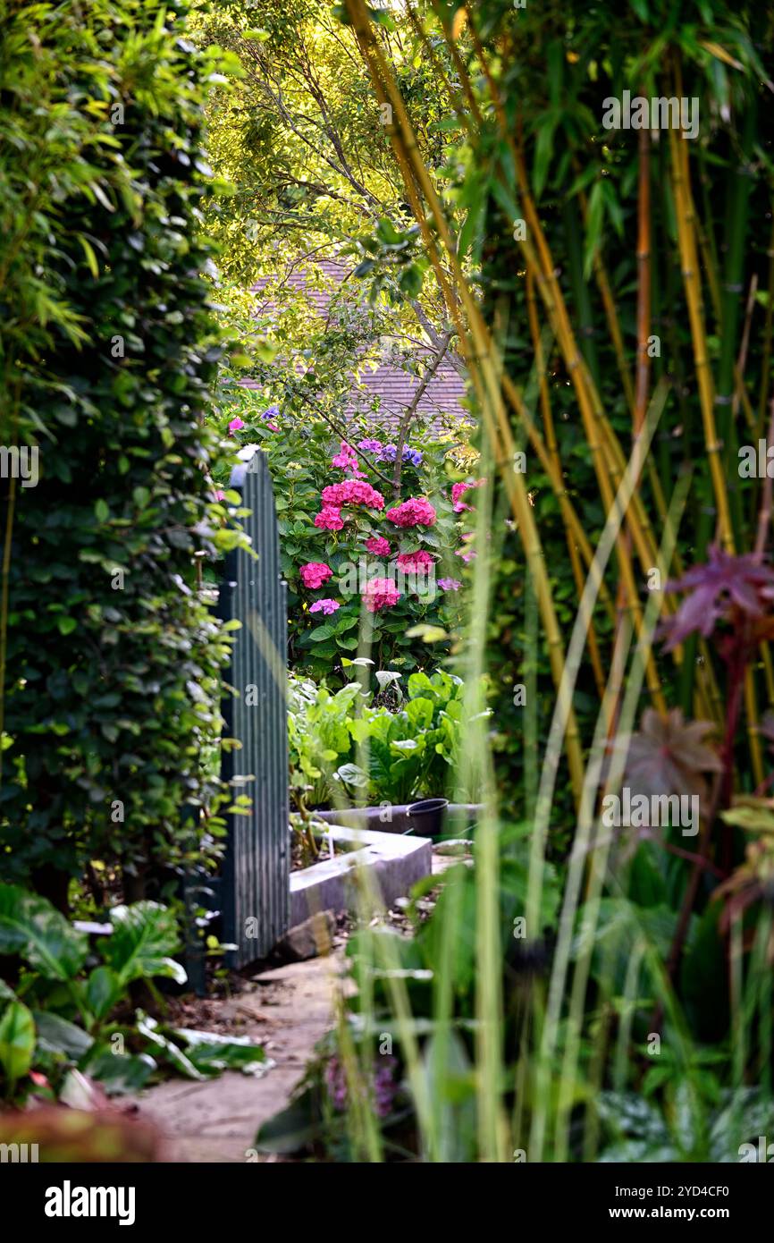 Open garden gate,garden entrance,lead,leading,garden rooms, garden ...