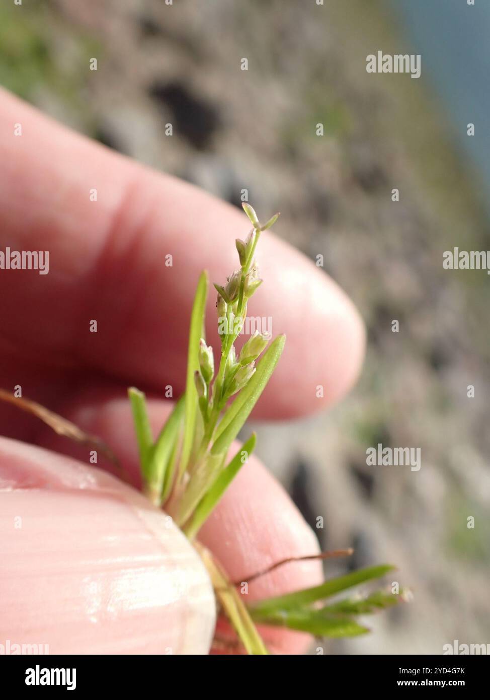 Infirma hi-res stock photography and images - Alamy