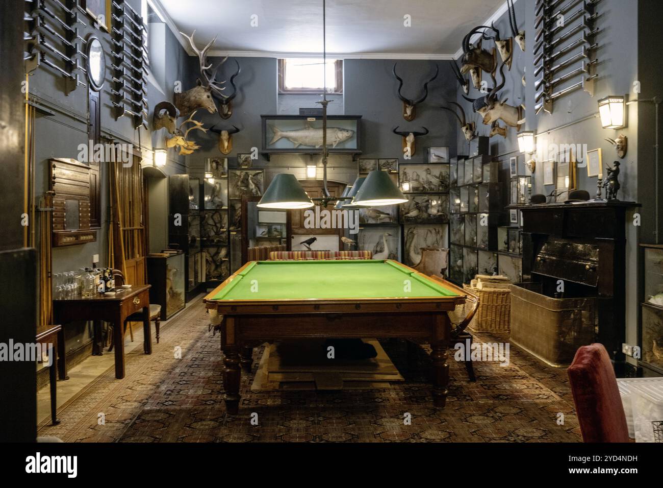 Interior view of the snooker room and trophy room at Holkham Hall ...