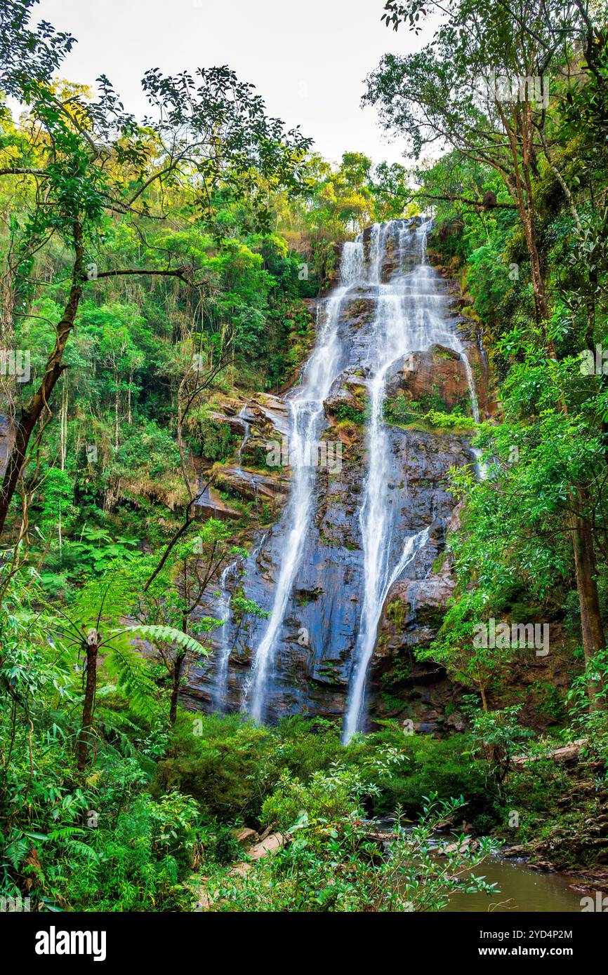 Stone hill with rainforest trees and waterfall Stock Photo - Alamy