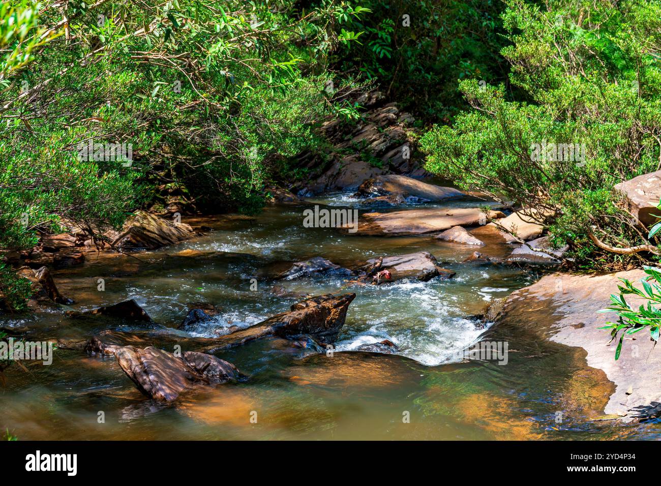 Peaceful ecosystem hi-res stock photography and images - Alamy