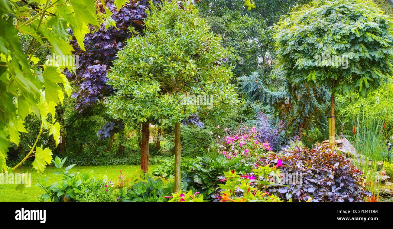Nature, garden and environment with trees by plants for sustainability ...