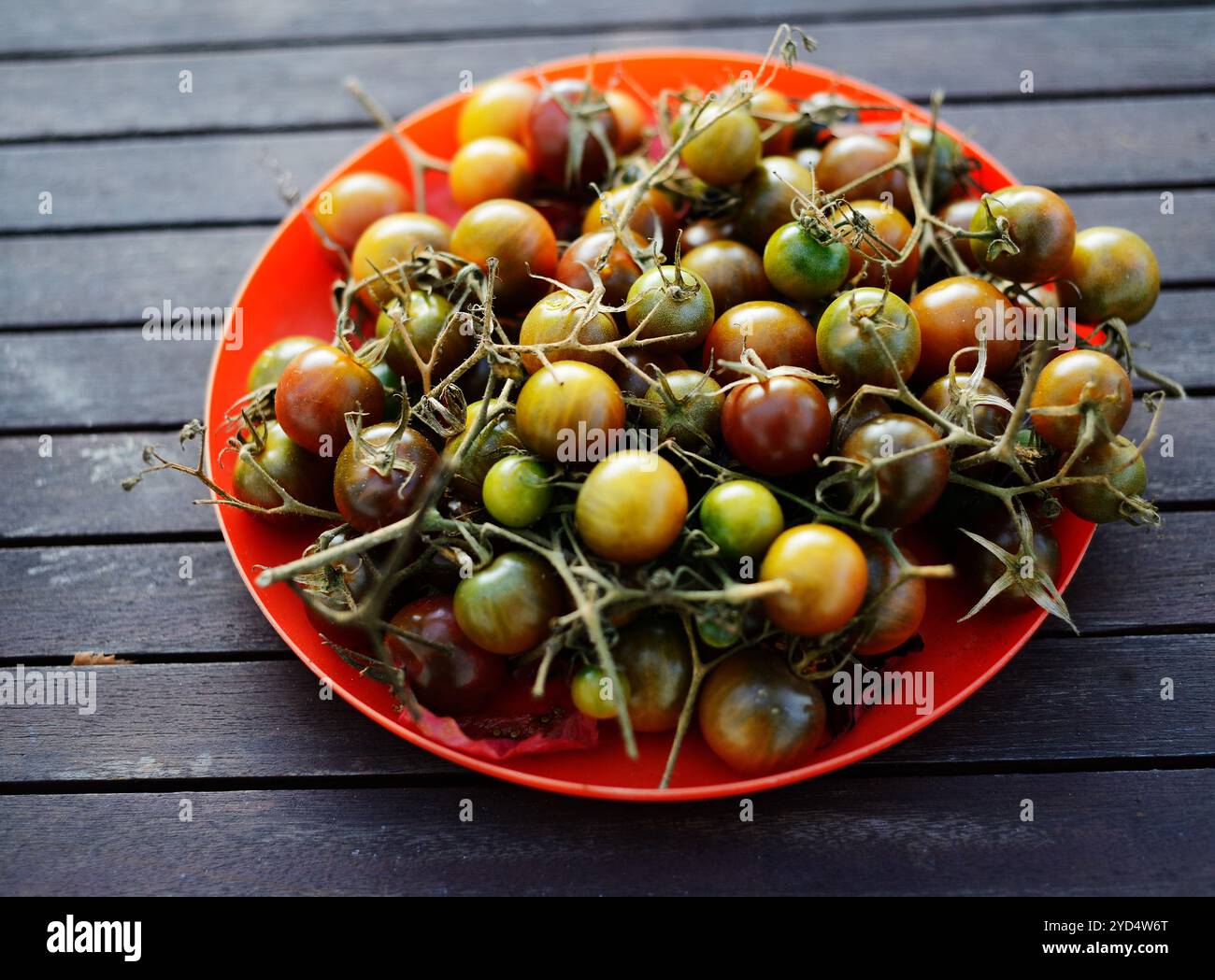 Small tomatoes vegetables in hi-res stock photography and images - Alamy