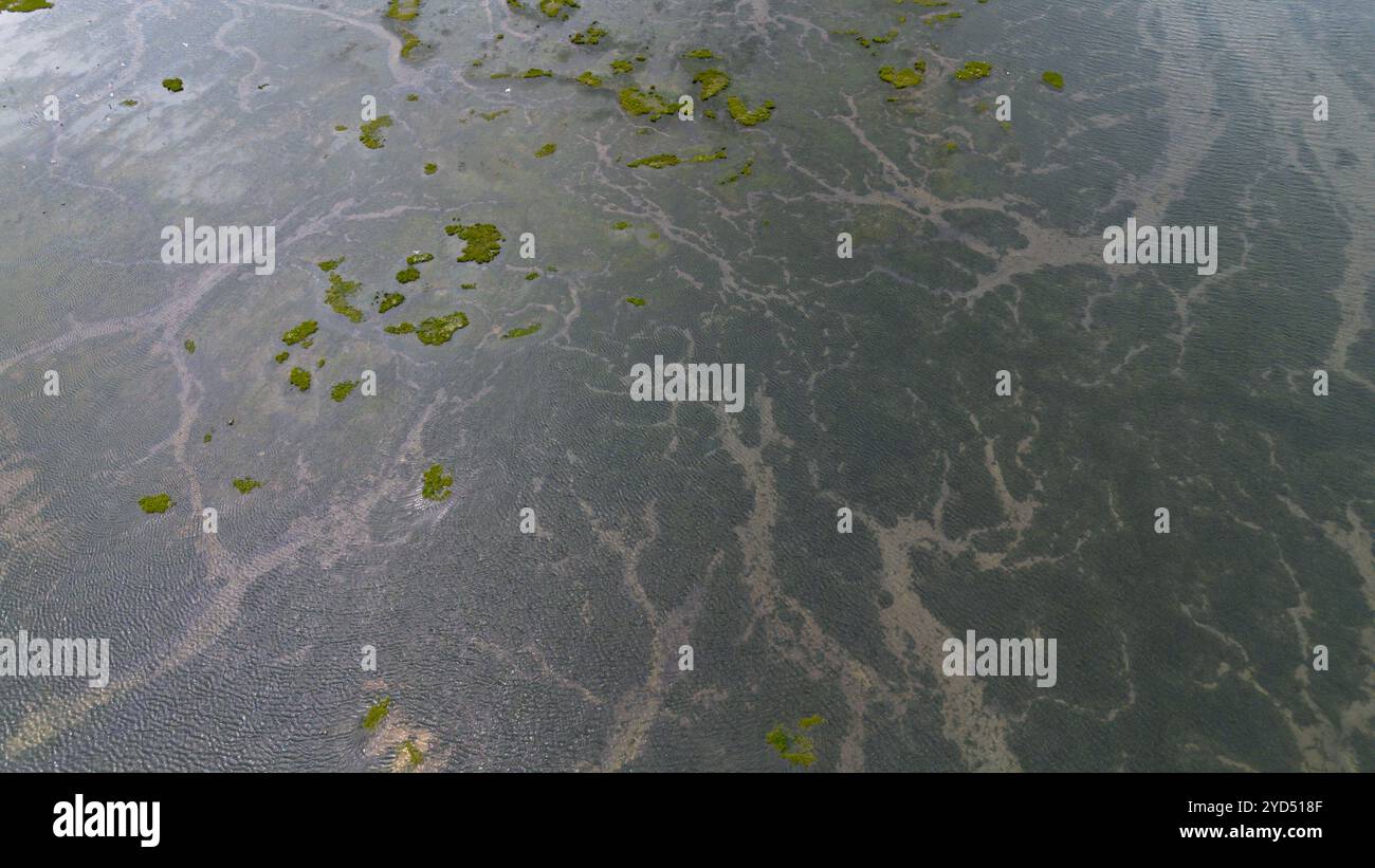 aerial photograph of a shallow area of coastal water showing the ...