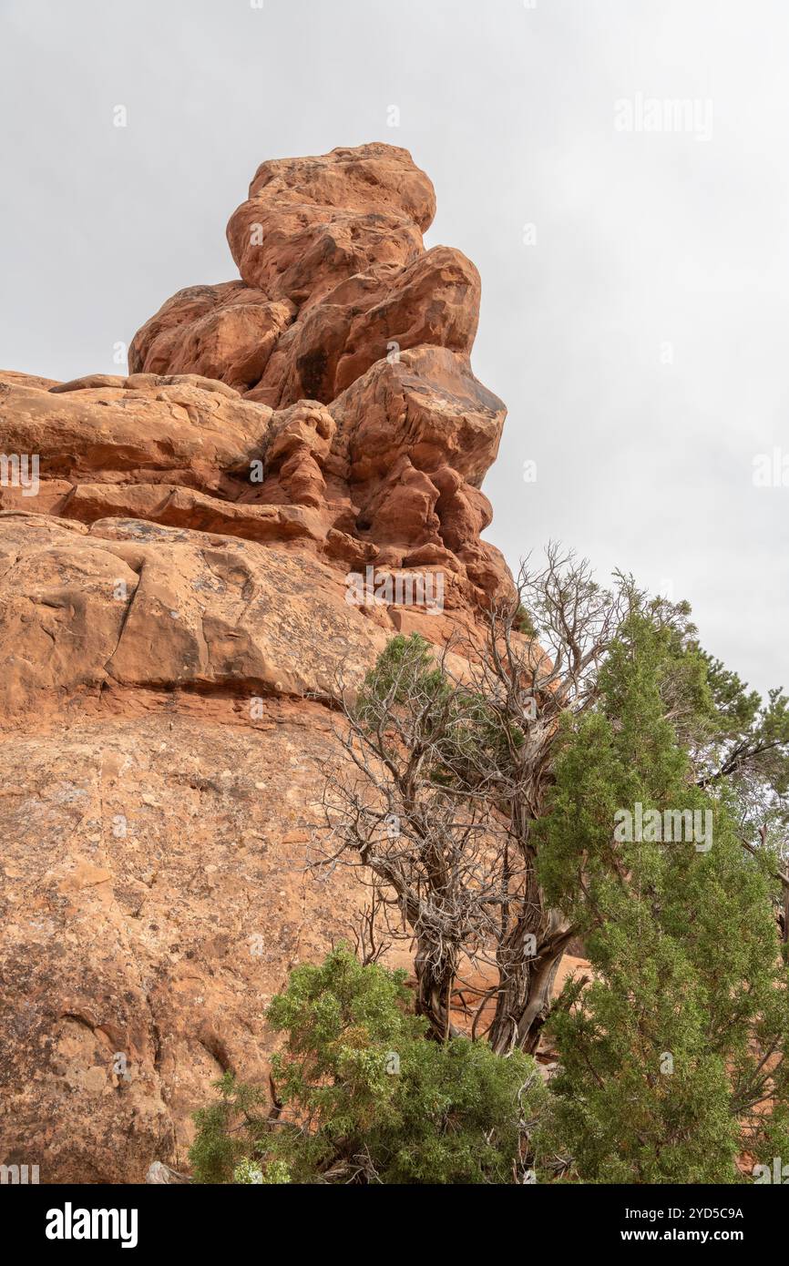 Butte Fin Rock Formation in Arches National Park, Utah, USA Stock Photo ...