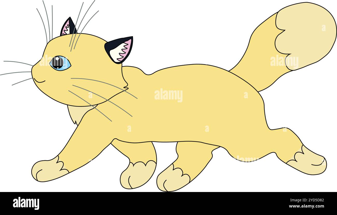 A contented yellow beige cat with blue eyes and a fluffy tail runs ...