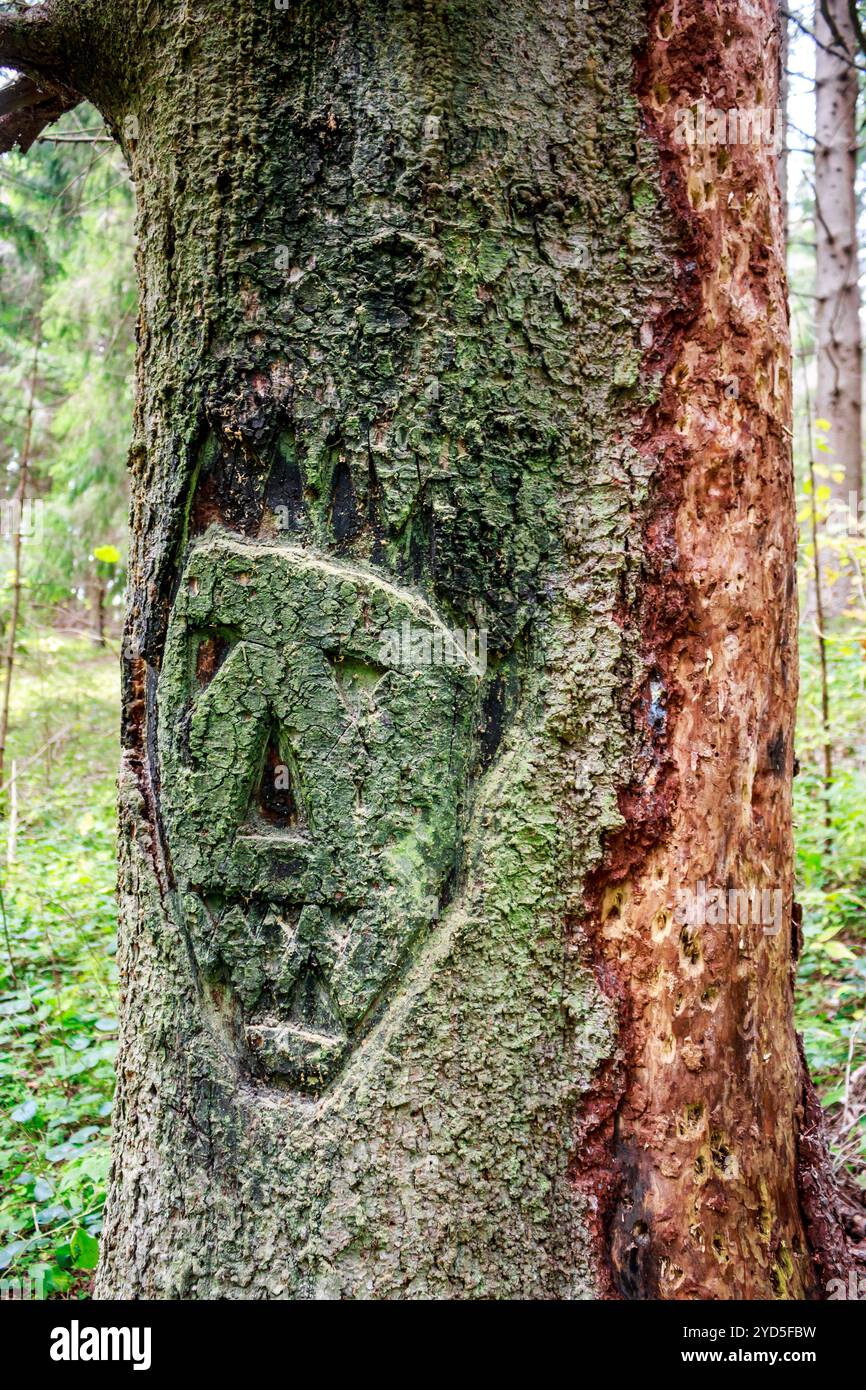 Carved into tree bark hi-res stock photography and images - Alamy