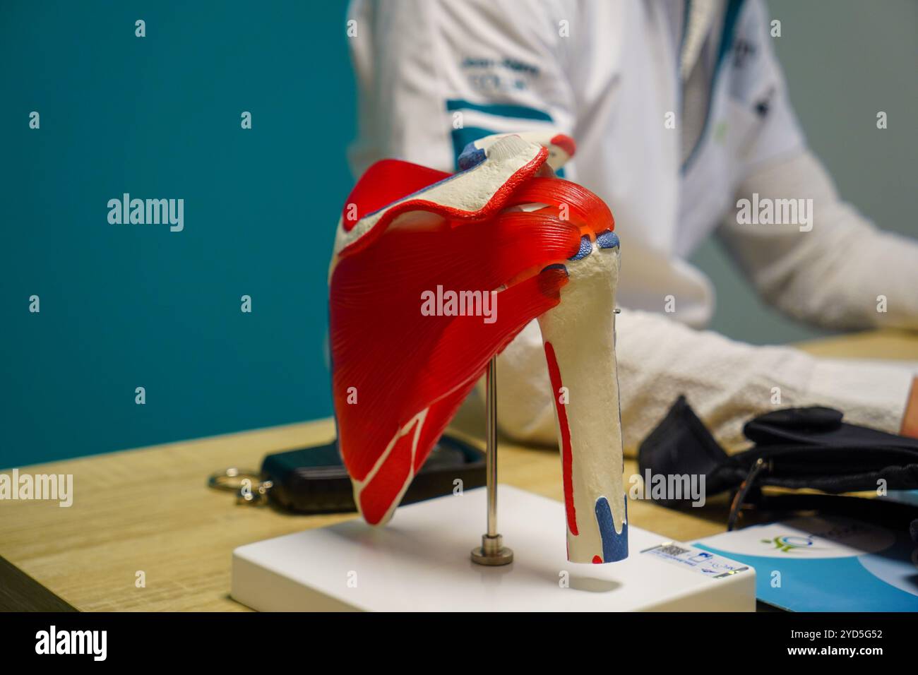 Physiotherapy center specializing in shoulder pathology before or after ...