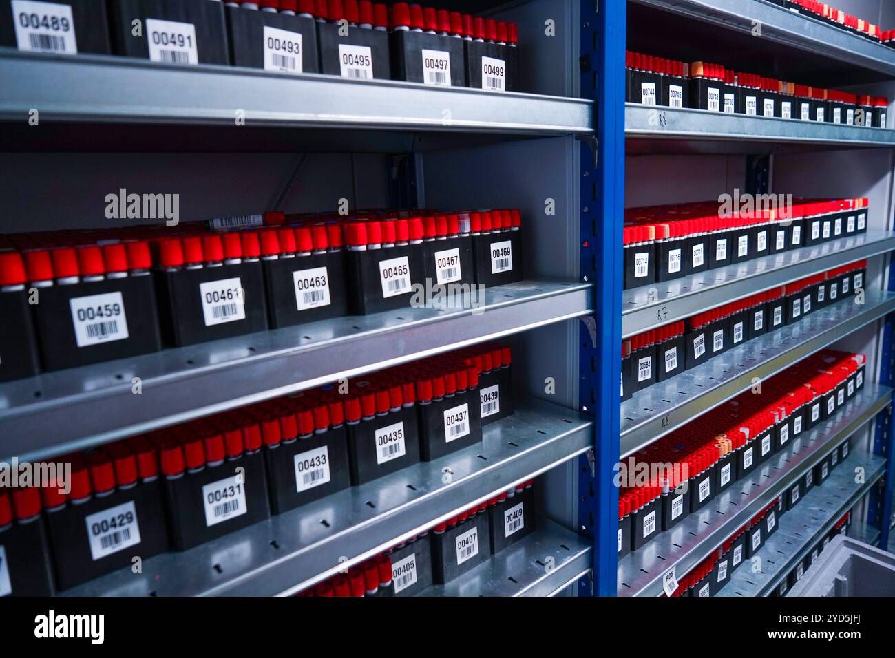 Medical analysis laboratory. Blood sample racks in negative cold room ...