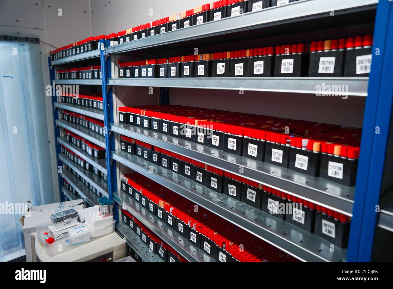 Medical analysis laboratory. Blood sample racks in negative cold room ...