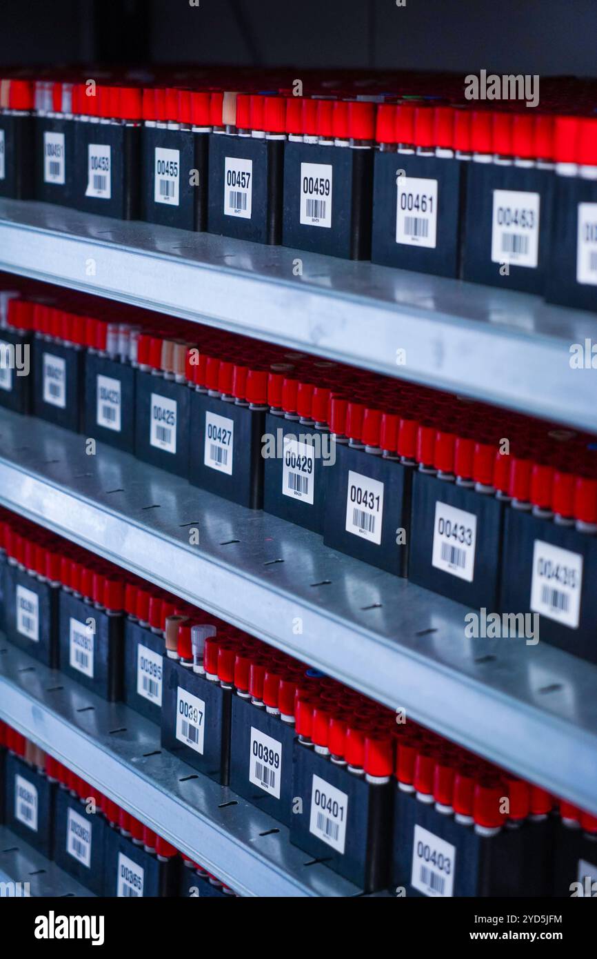 Medical analysis laboratory. Blood sample racks in negative cold room ...