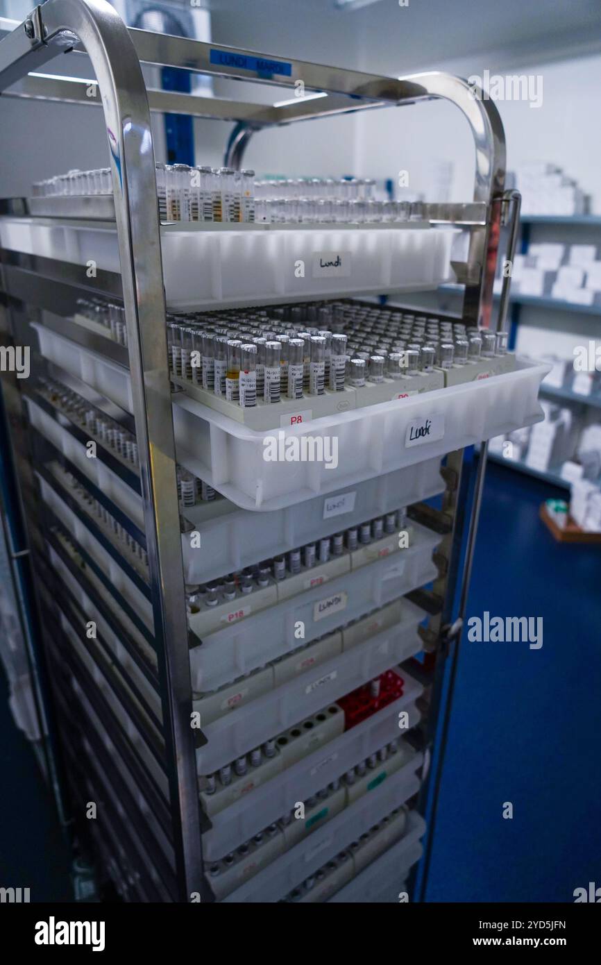 Medical analysis laboratory. Blood sample racks in positive cold room ...