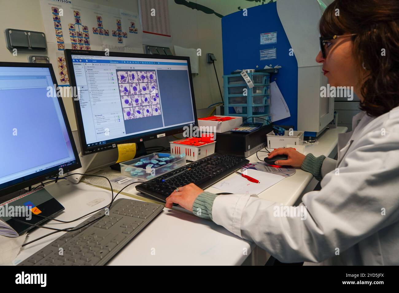 Medical Analysis Laboratory. Biomedical Analysis Technicians Stock ...