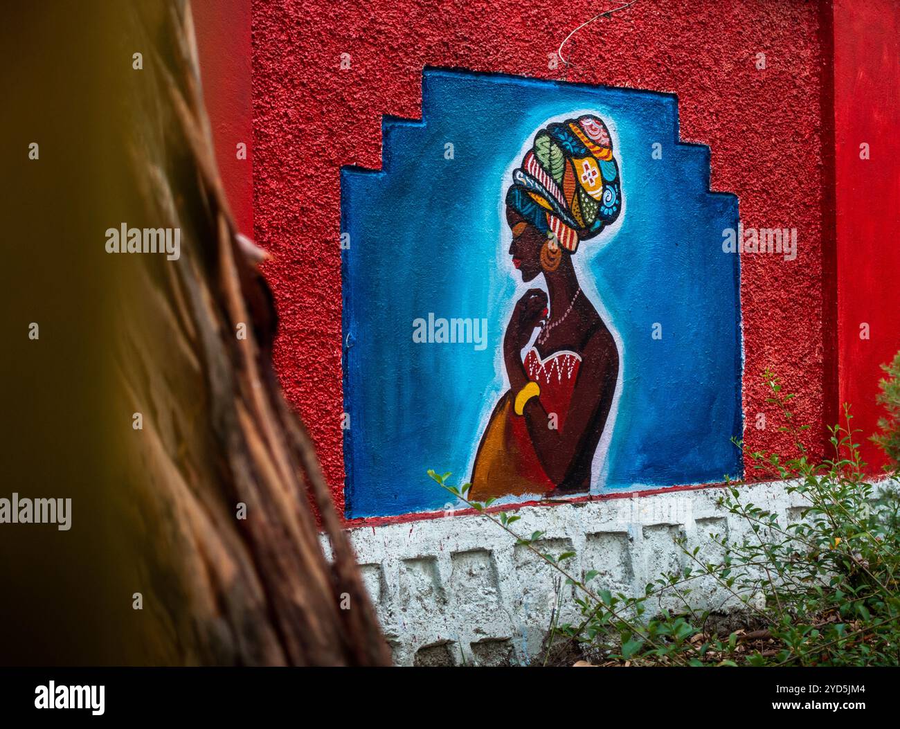 Oct25th2024 Dehradun City India. A vibrant graffiti artwork depicting a ...
