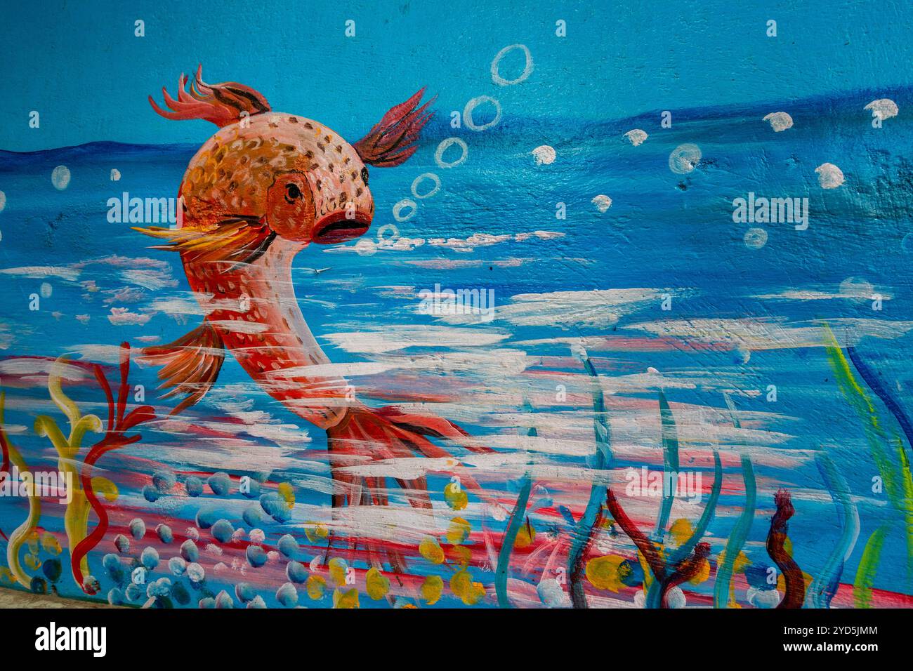 Oct25th2024 Dehradun City India. A vibrant graffiti artwork of marine ...