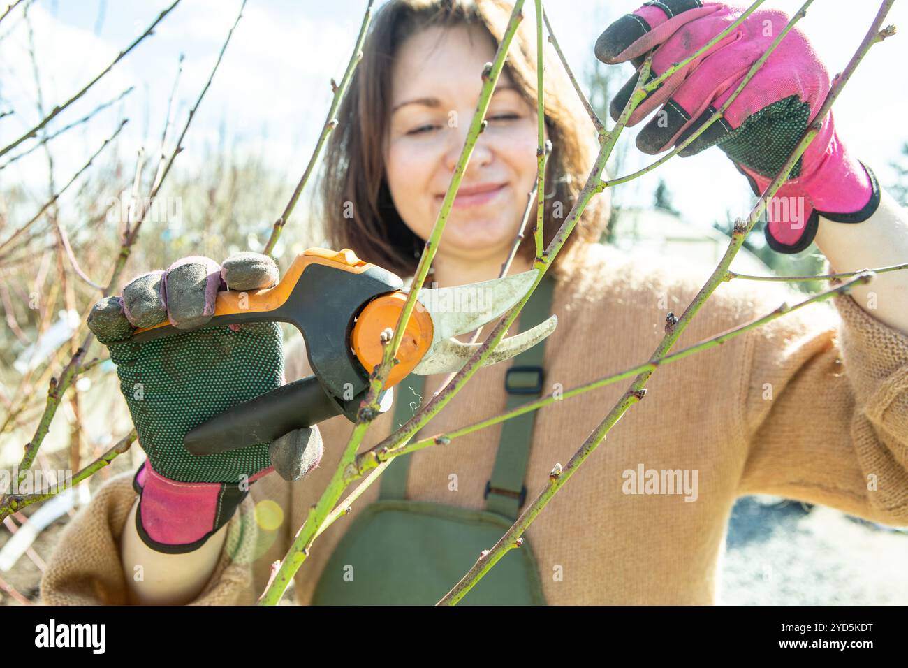 Gardener in the tree nursery Stock Photo - Alamy