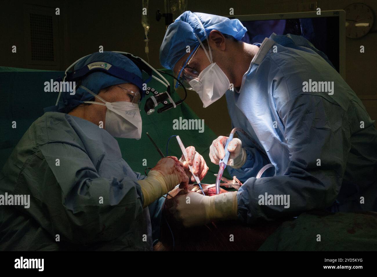A surgeon and their assistant performing a surgical procedure Stock ...