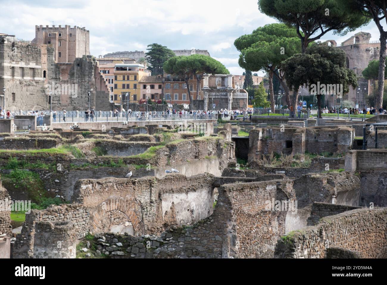 Roman ruins and archaeological remains on Palatine Hill is one of the ...