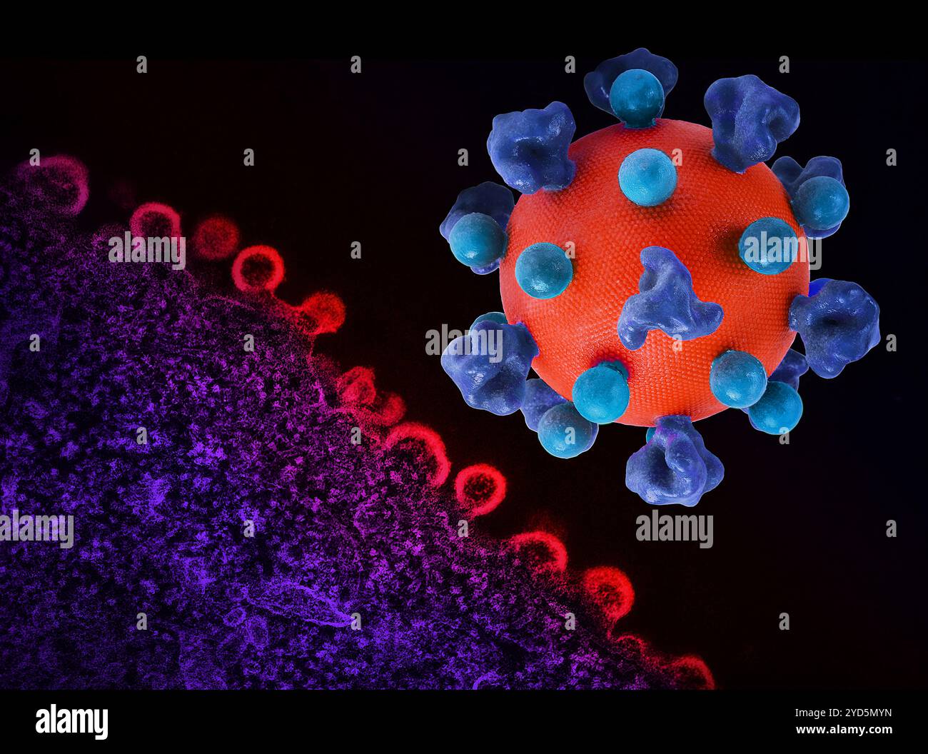 Layout featuring a colorized 3D print of an HIV virus particle (red ...