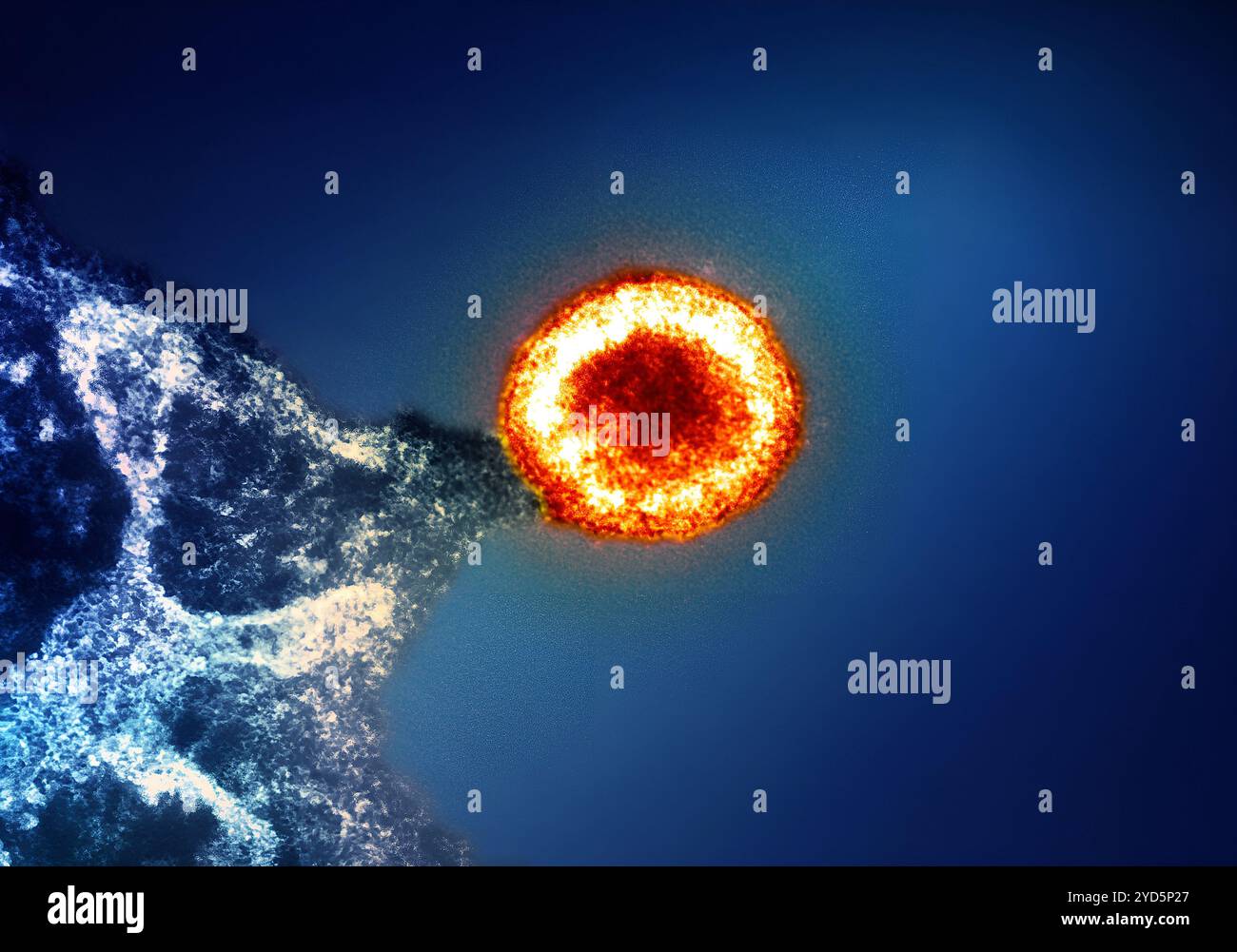 Colorized transmission electron micrograph of an HIV-1 virus particle ...