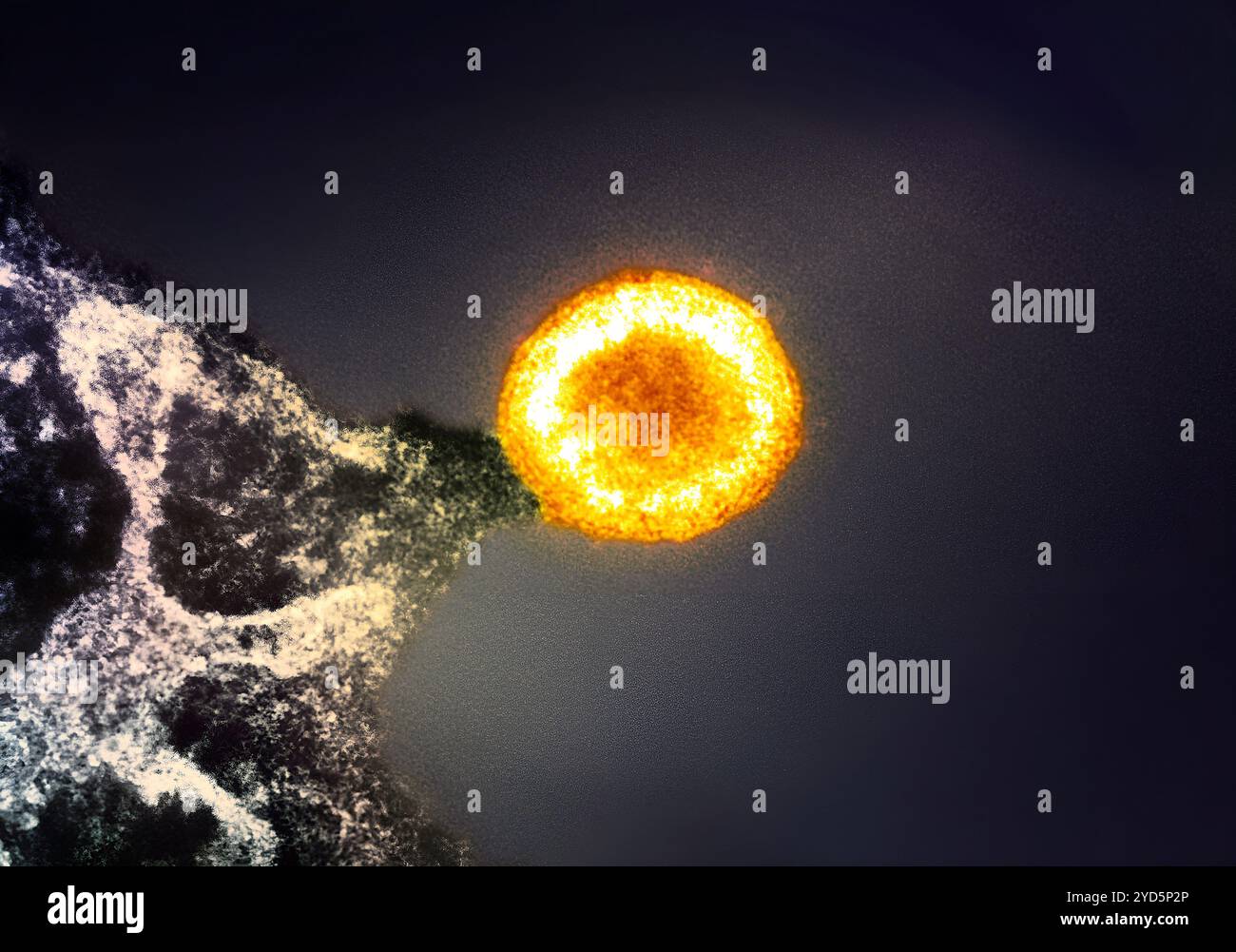 Plasma membrane micrograph hi-res stock photography and images - Alamy