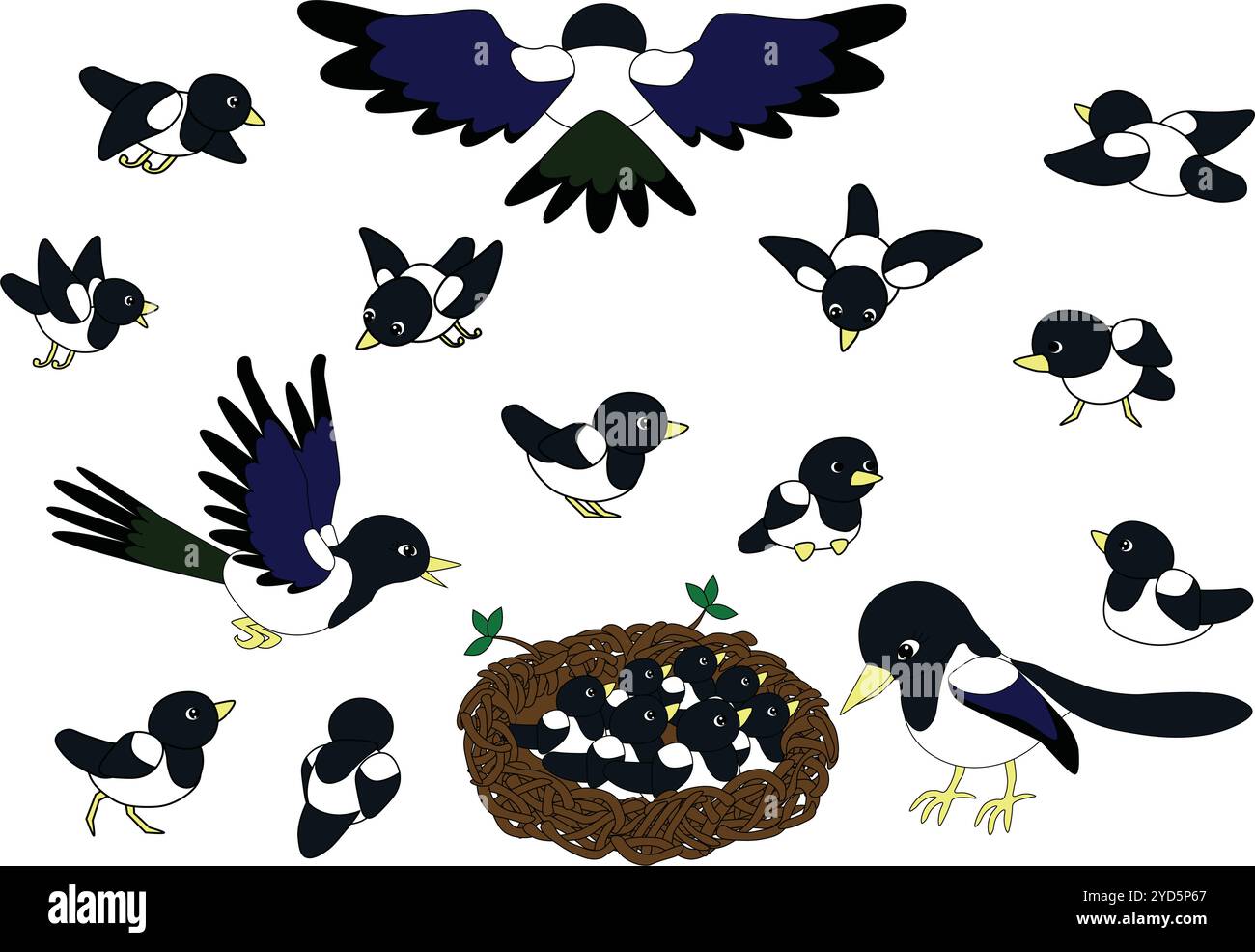magpie and chicks. Set of vector illustrations in cartoon style Stock ...
