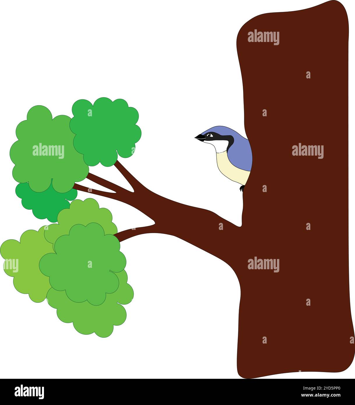 cute blue bird nuthatch sits in a tree hollow in summer, stock vector ...