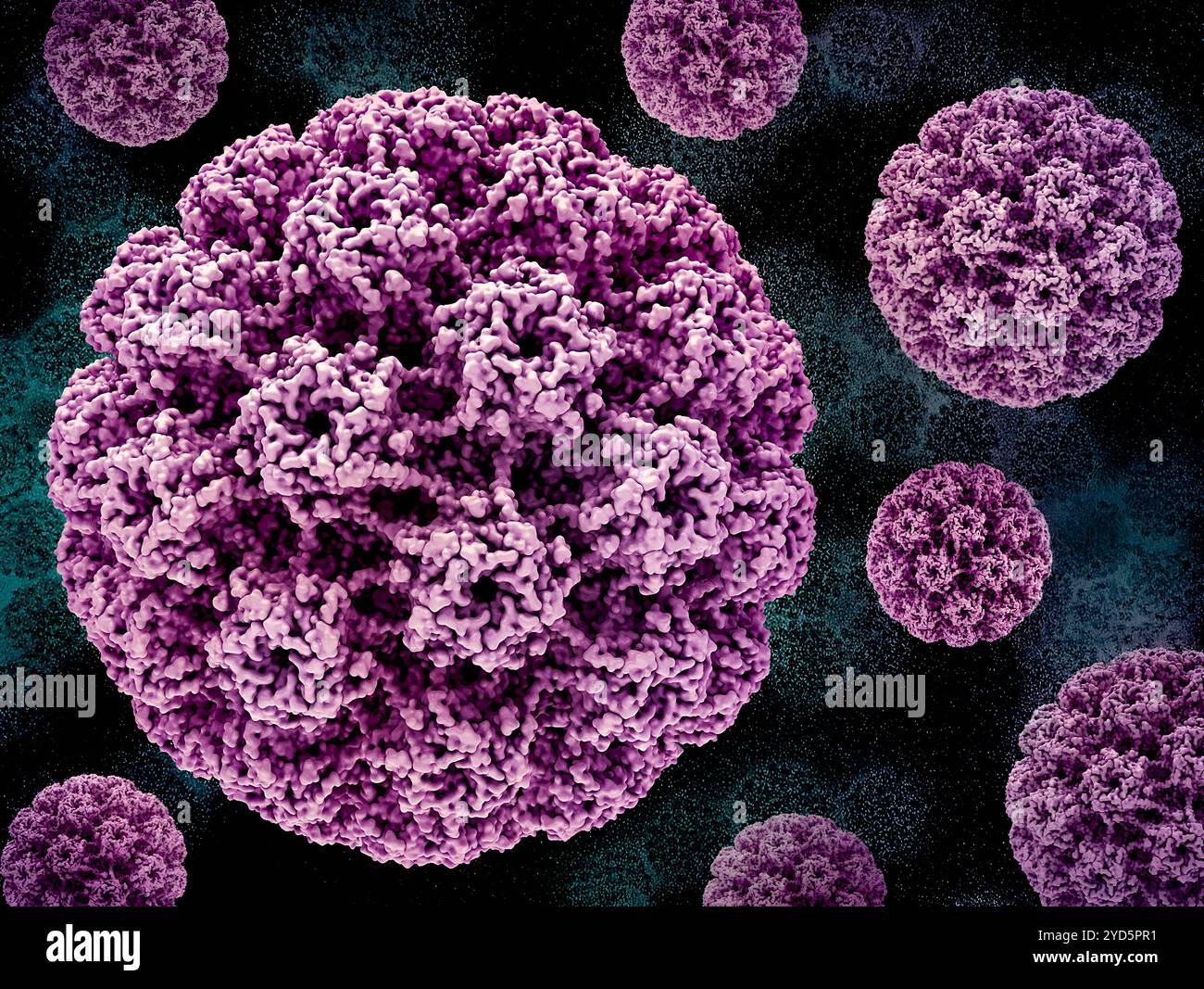 3D renderings of the human papillomavirus (HPV) capsid (pink) against a ...